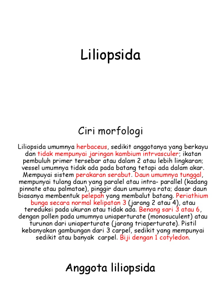Keanekaragaman Kelas Liliopsida | PDF