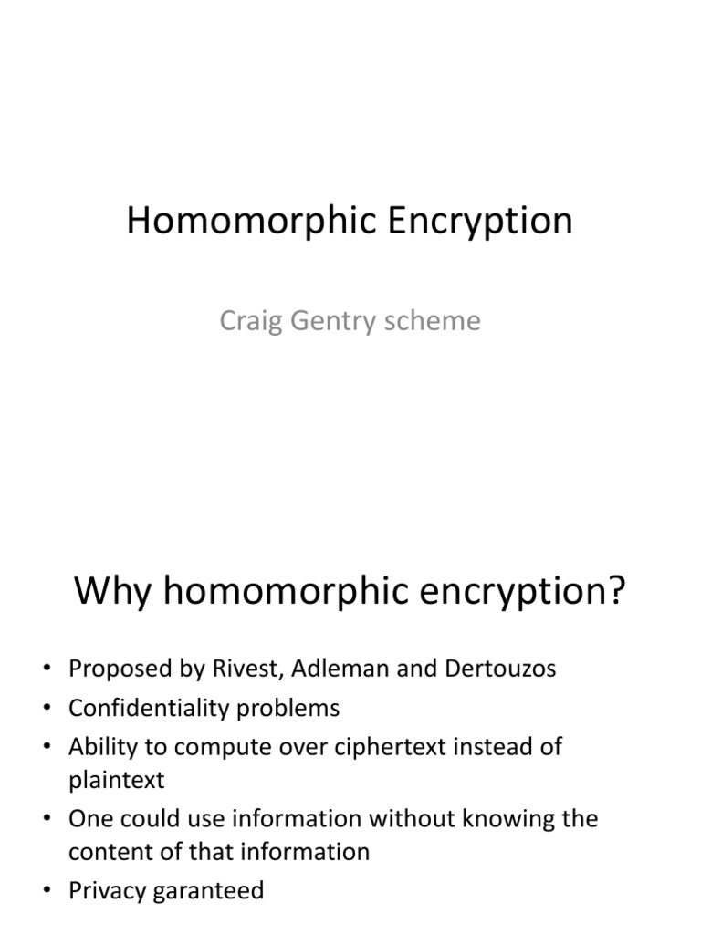 Homomorphic Encryption: Craig Gentry Scheme | Download Free PDF | Cryptography | Applied Mathematics