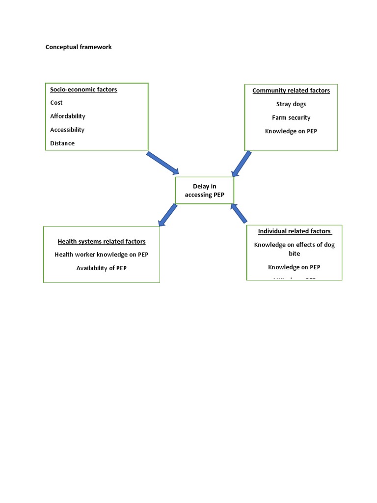 Conceptual Framework | PDF