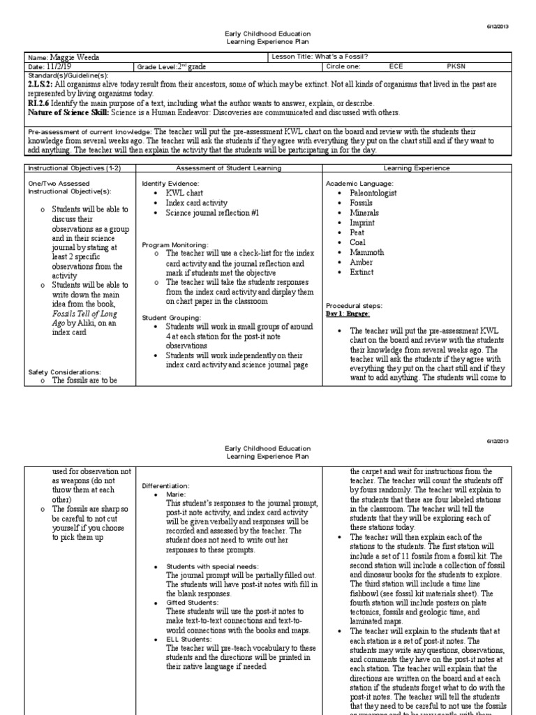 Fossil Investigation Unit | Download Free PDF | Early Childhood ...