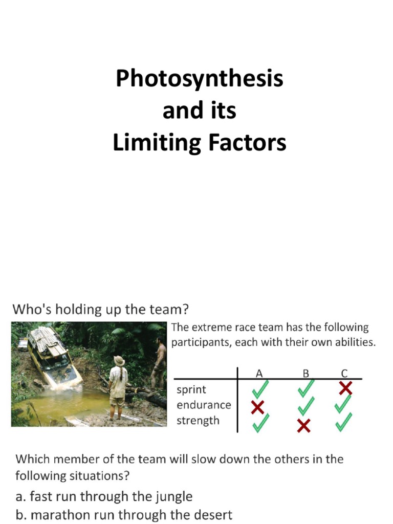 Limiting Factors in Photosynthesis | PDF
