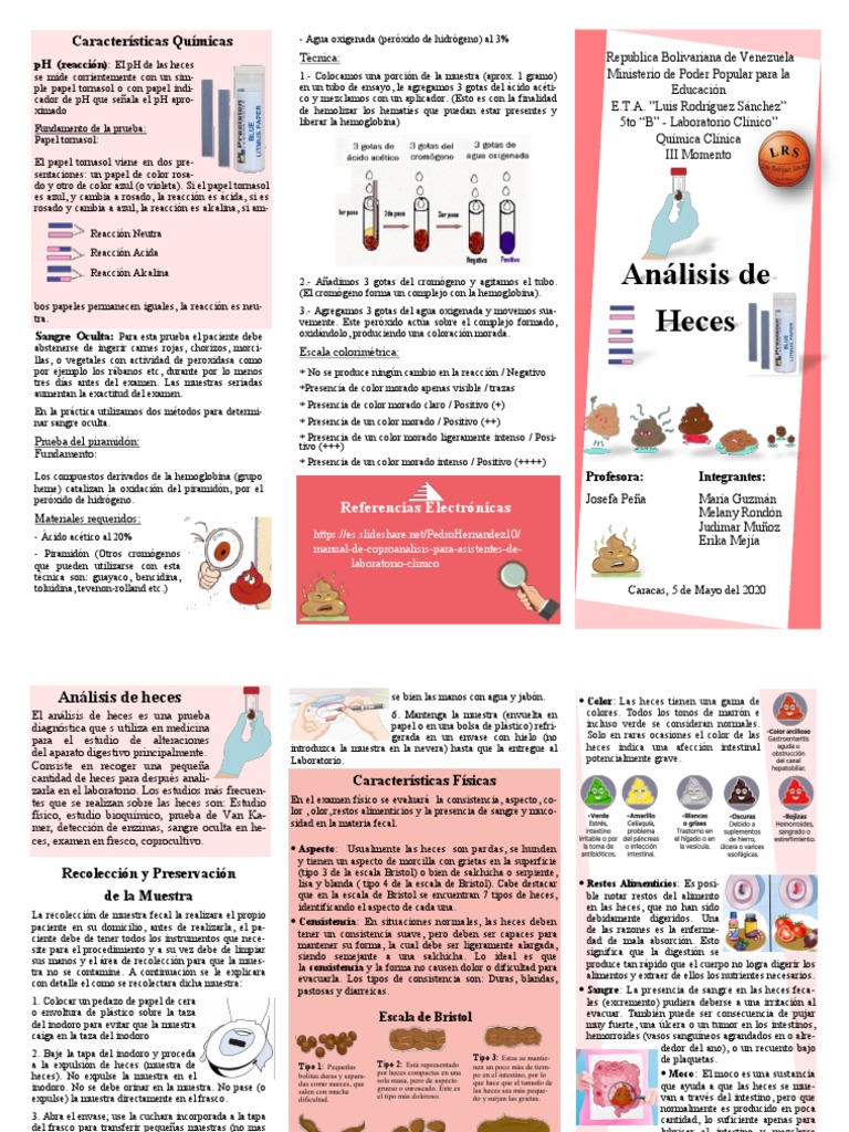 Triptico Analisis General de Heces PDF | PDF | Heces | Ph
