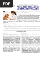 Morfología del perro: Graioides y Occipucio | PDF | Diente | Pastor alemán