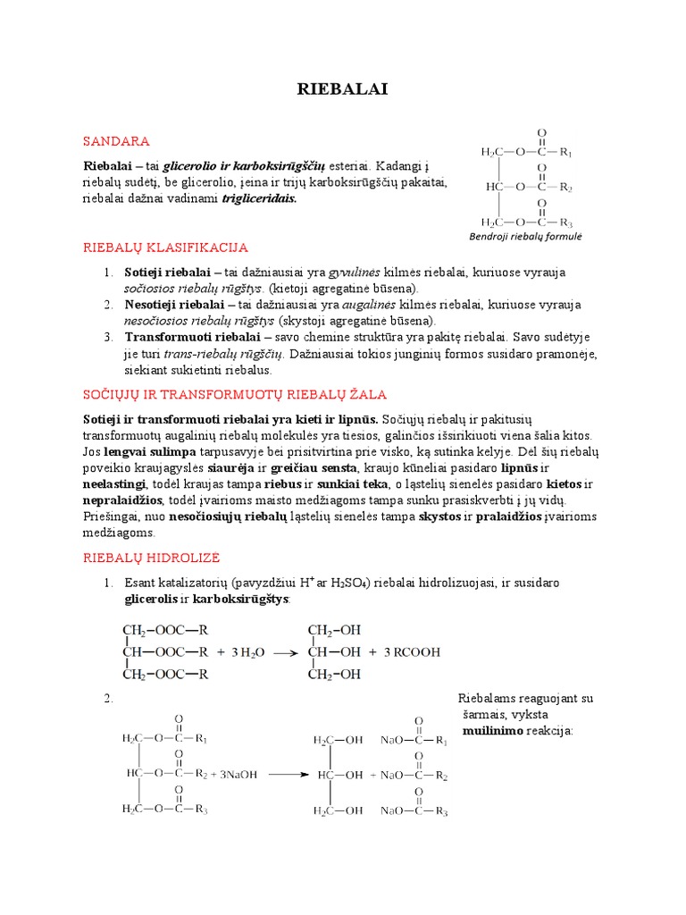 Riebalai Konspektas | PDF