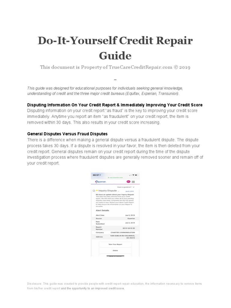 Do-It-Yourself Credit Repair Guide | PDF