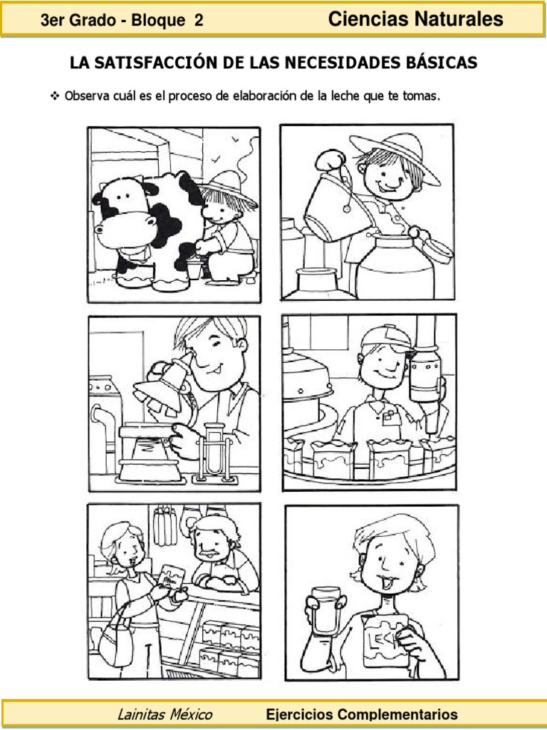 Actividades Sobre Necesidades Básicas Pdf