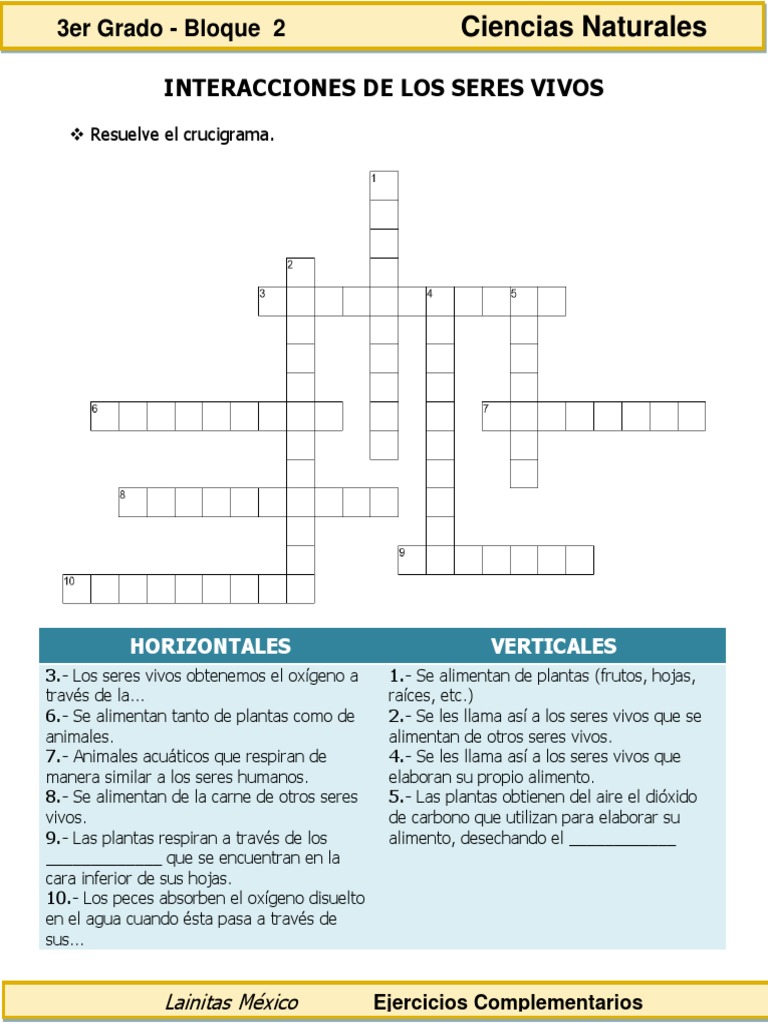 Crucigrama sobre Seres Vivos | PDF | Hogar, jardinería y bricolaje