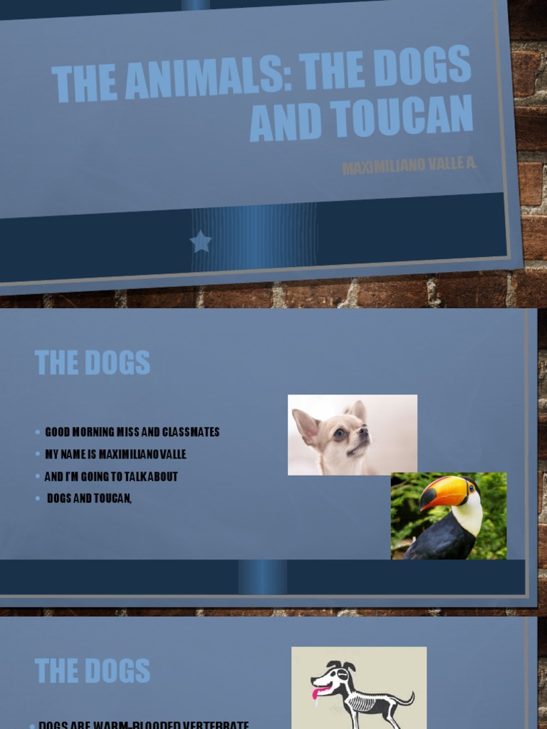 Dogs and Toucans: Characteristics Overview | PDF | Mystery, Thriller ...