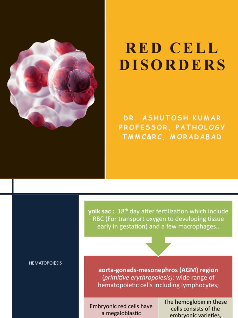 1.anaemia Intro, Retic, Indices | PDF | Anemia | Red Blood Cell