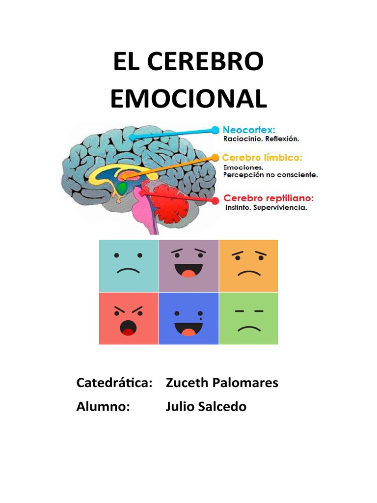 El Cerebro Emocional Pdf Las Emociones Cerebro