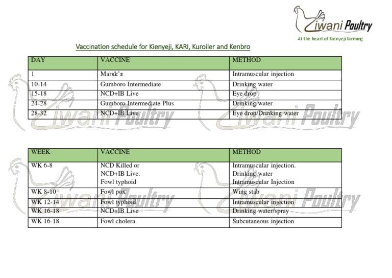 Vaccination Schedule For Kienyeji, KARI, Kuroiler and Kenbro | PDF