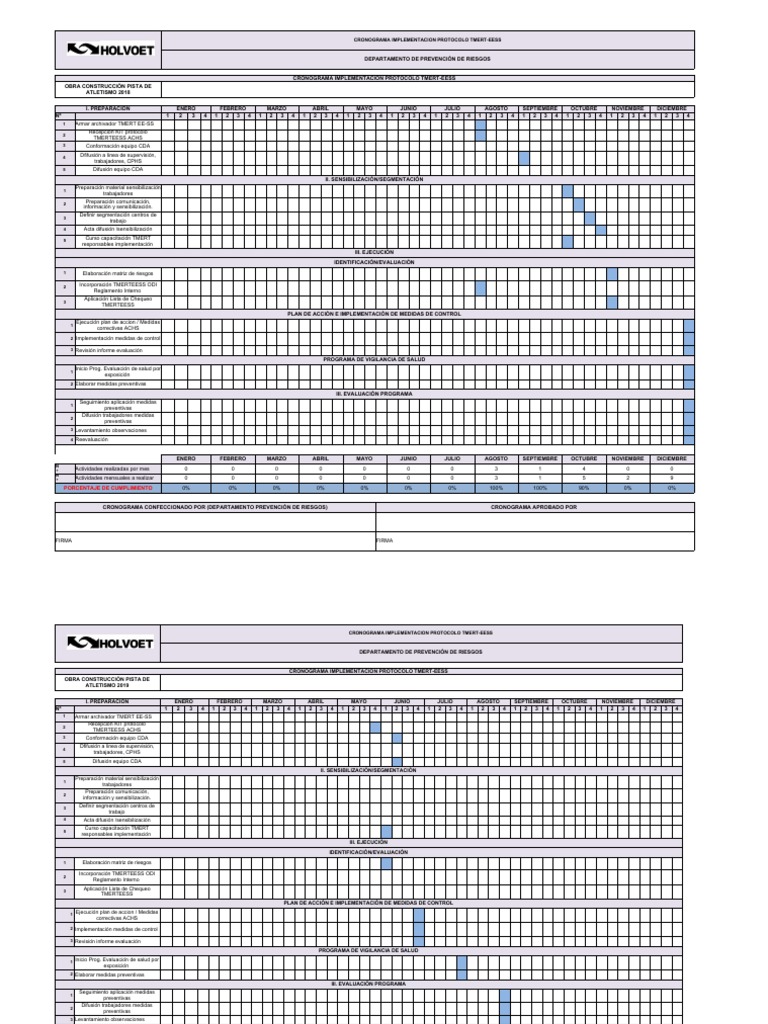 Cronograma Tmert-Eess | PDF | Salud y bienestar | Medicina