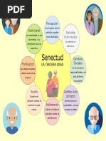 Tipos de Envejecimiento | PDF | Envejecimiento | Sistema inmune