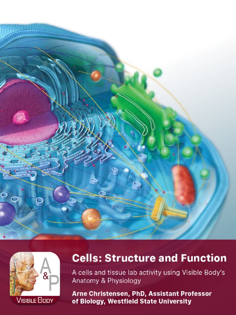 Lab Manual - Cells - A+p - Student | PDF | Translation (Biology) | Ribosome