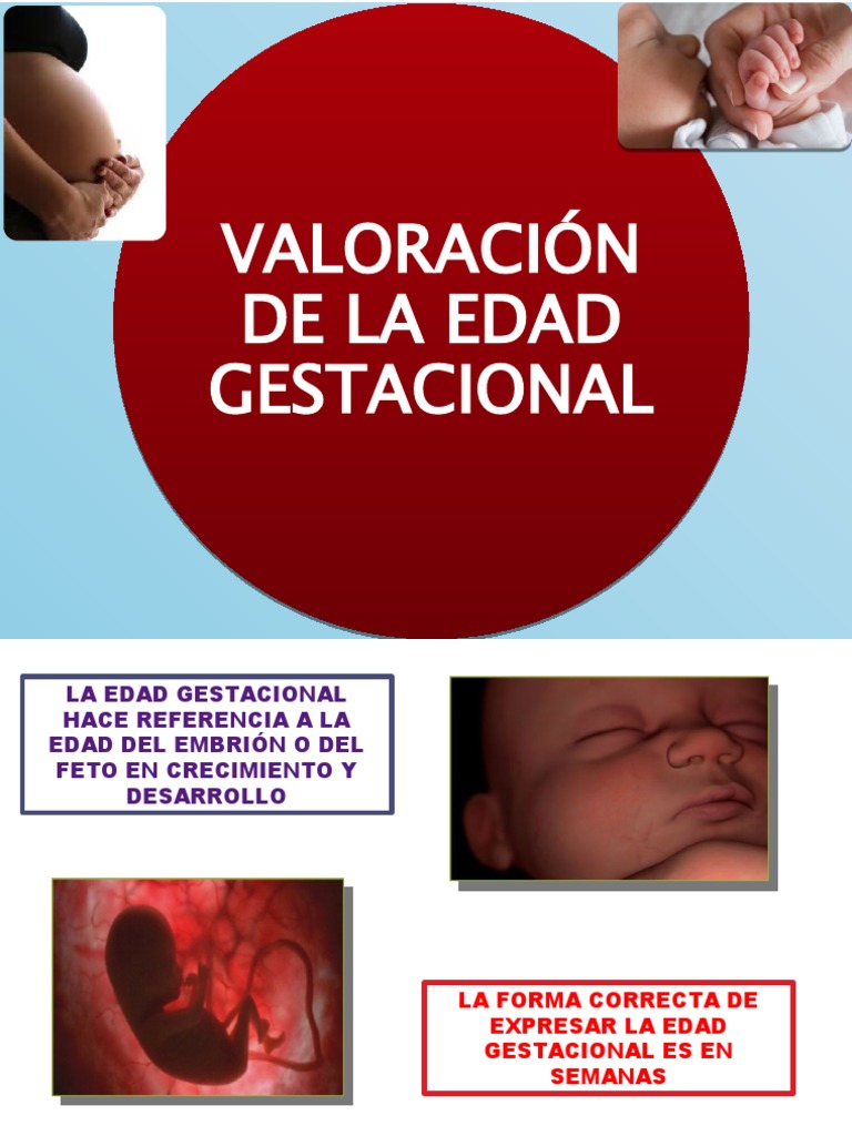 Edad Gestacional. | Descargar gratis PDF | Obstetricia | El embarazo