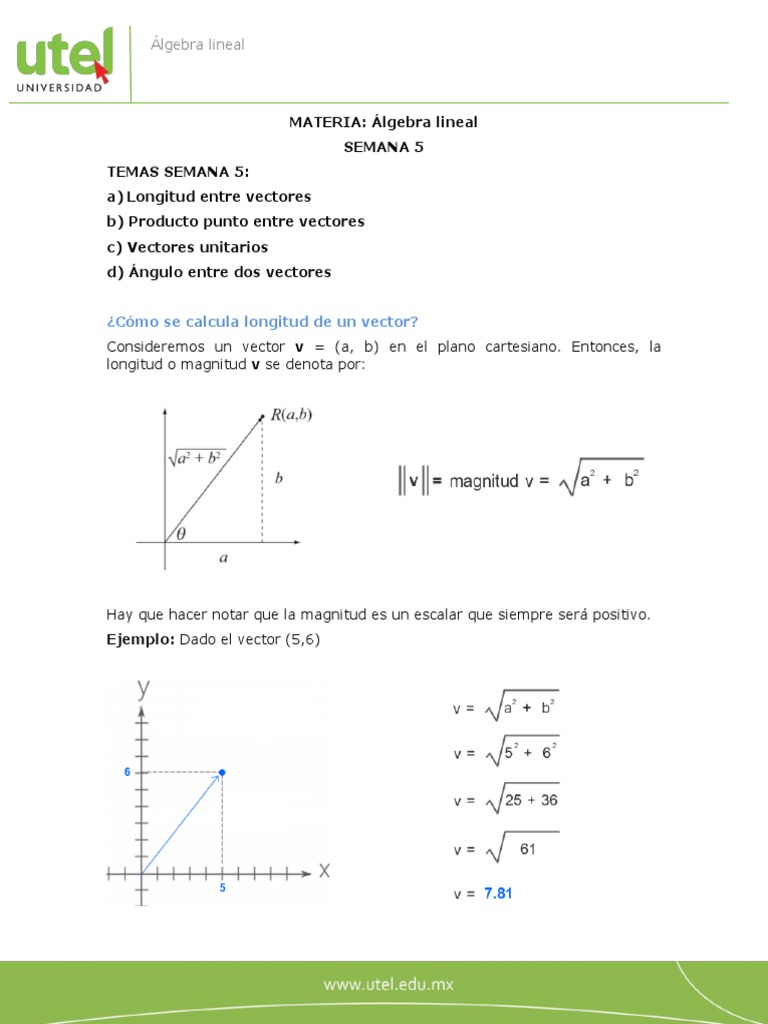 Algebra Lineal - Semana 5 - PF | PDF