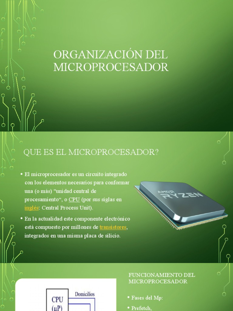 Guía Básica del Microprocesador | PDF | Microprocesador | Almacenamiento de datos de la computadora