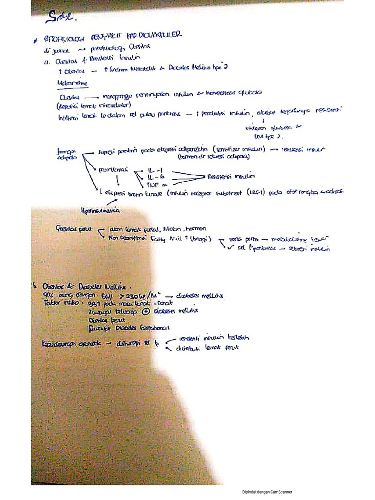 SDL | PDF