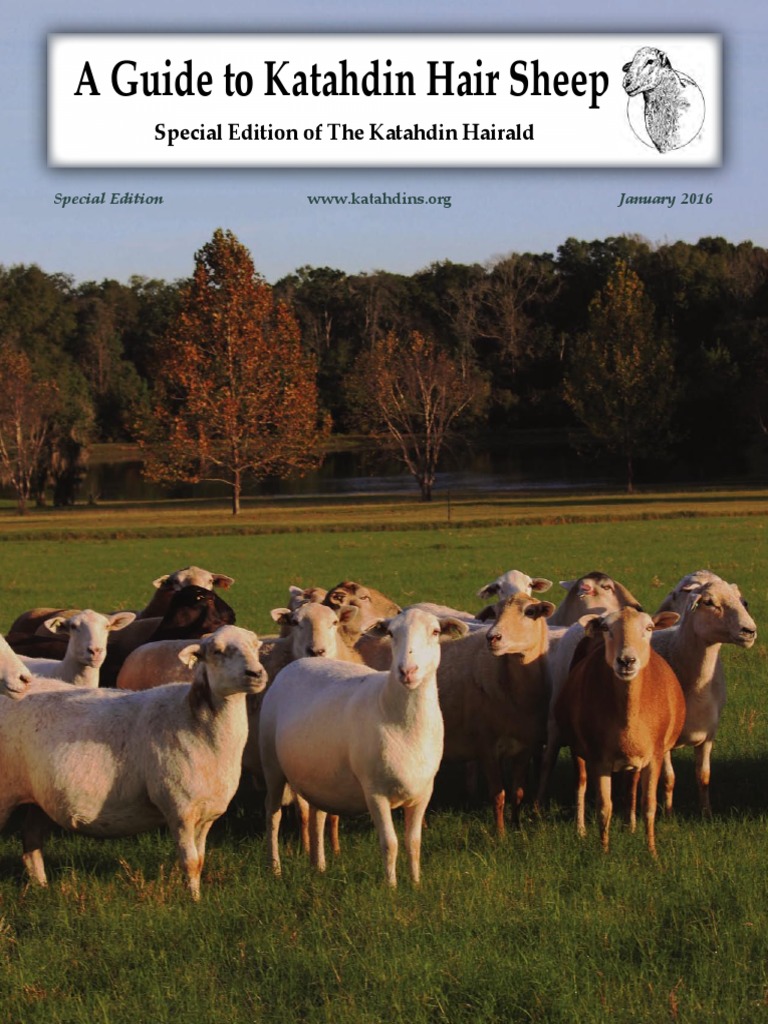 A Guide To Katahdin Hair Sheep: Special Edition of The Katahdin Hairald ...