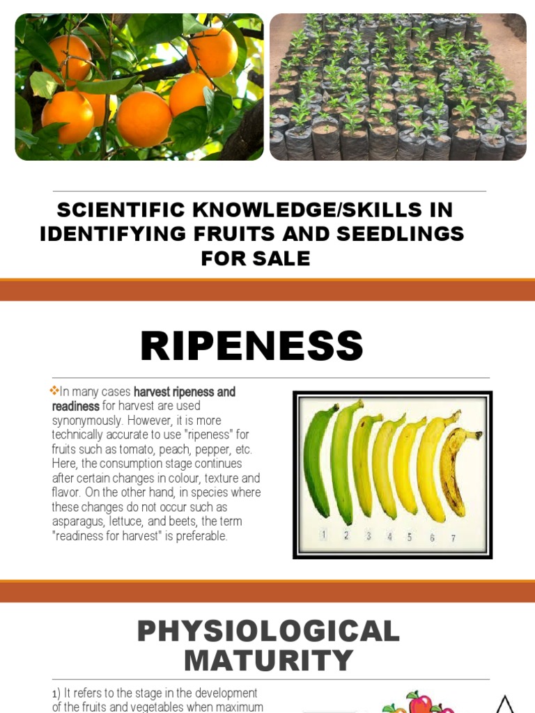 Knowledge Skills in Identifying Fruits Seedlings For Sale | PDF