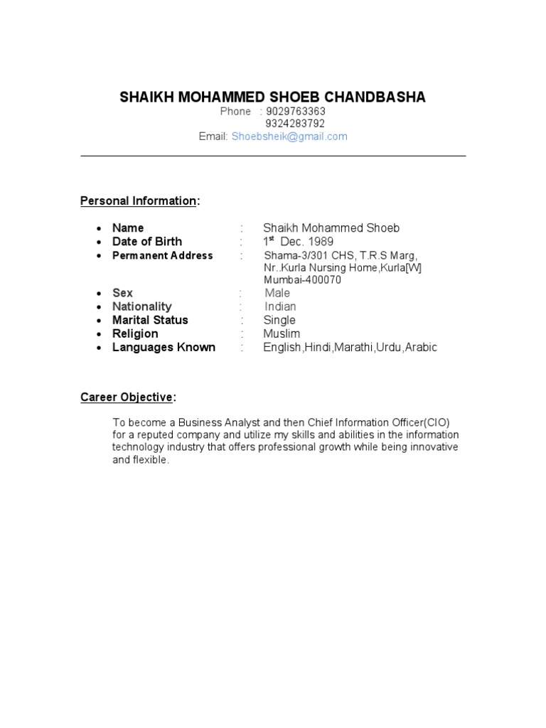 Shoeb Resume | PDF | Web Application | Java Script