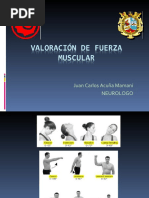 Signo del Témpano y Fabela en Rodilla | PDF | Rodilla | Pie