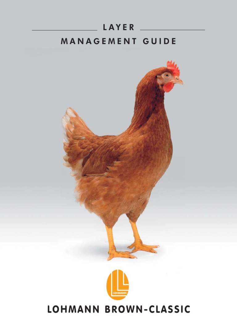 Lohmann Brown Classic Commercials | Nutrients | Chicken