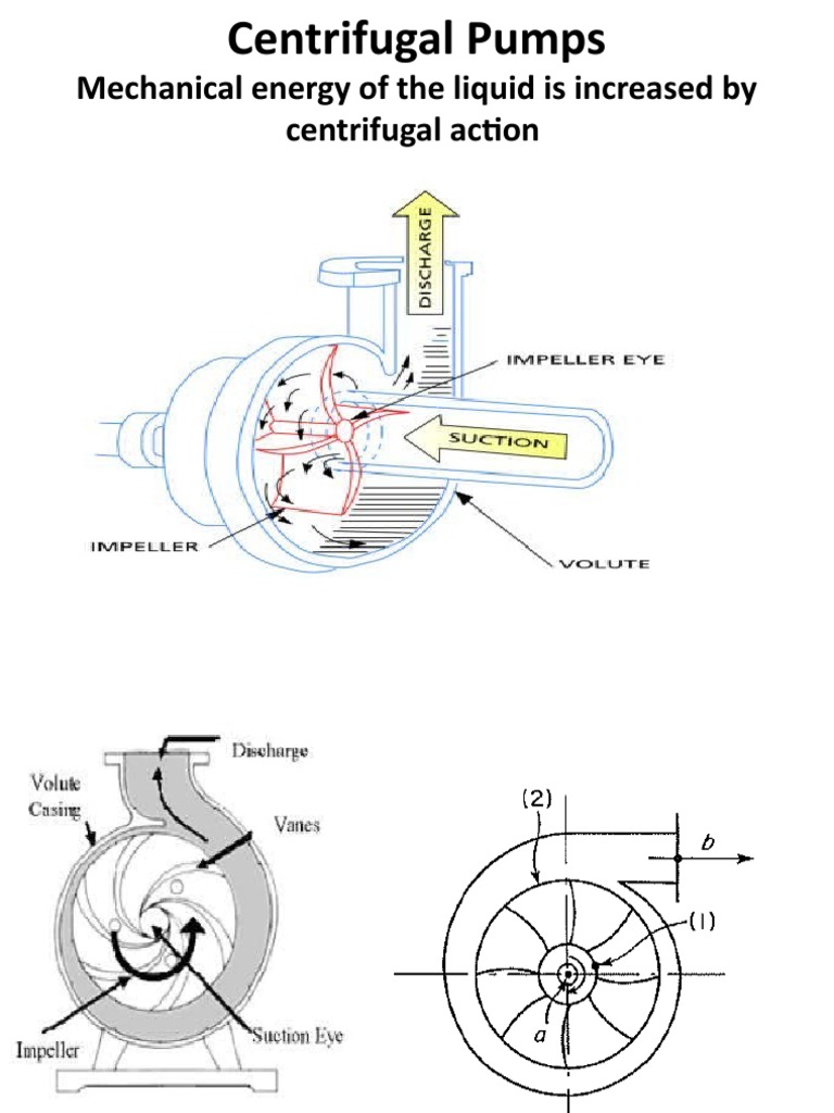 A Comprehensive Overview of Centrifugal Pump Components, Design ...