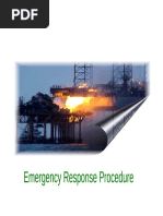 Ics Map Display Symbology | PDF | Incident Command System | Emergency ...