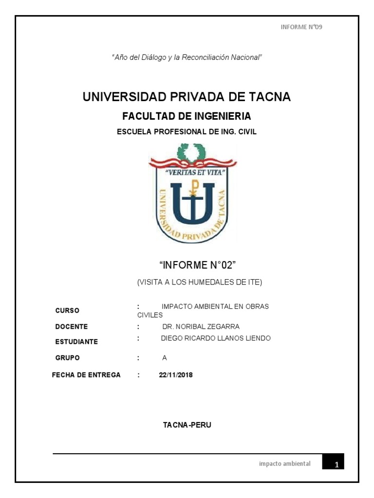 Informe Humedales Ite | PDF | Naturaleza | Sustancias químicas