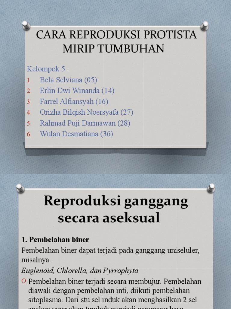 Cara Reproduksi Protista Mirip Tumbuhan | PDF