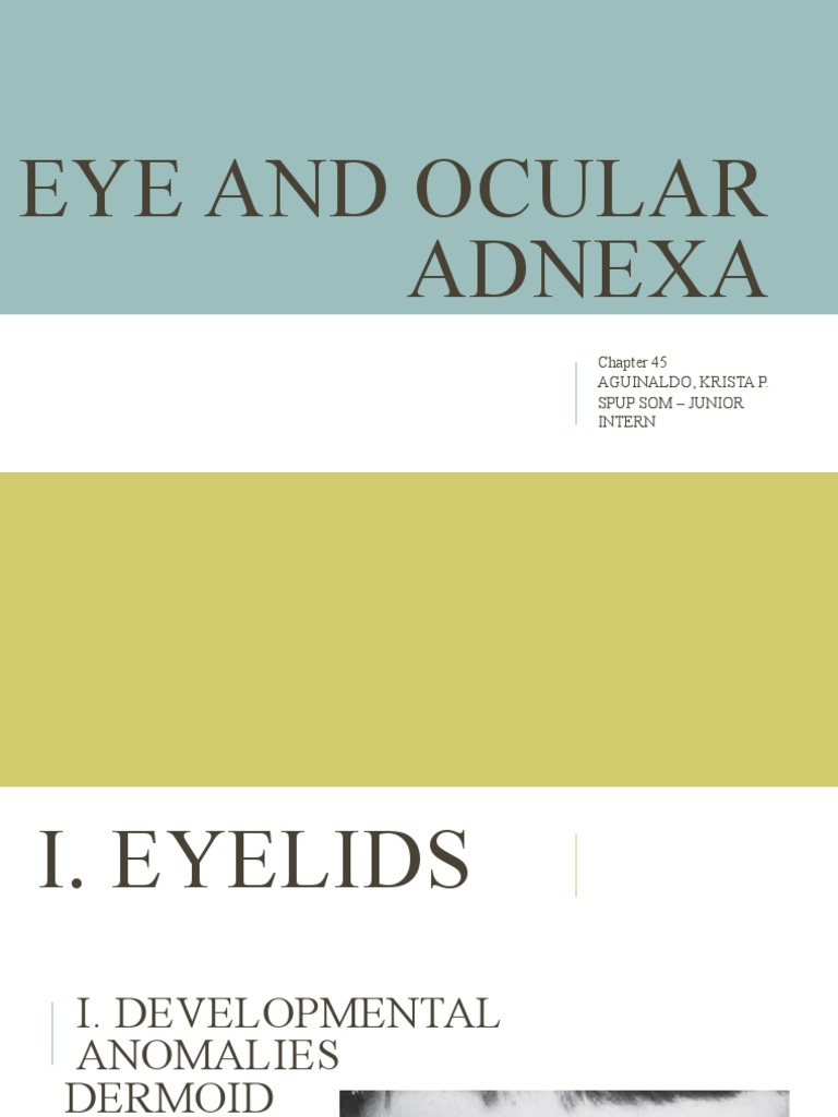 Eye and Ocular Adnexa-Ch45 | PDF | Epithelium | Neoplasms