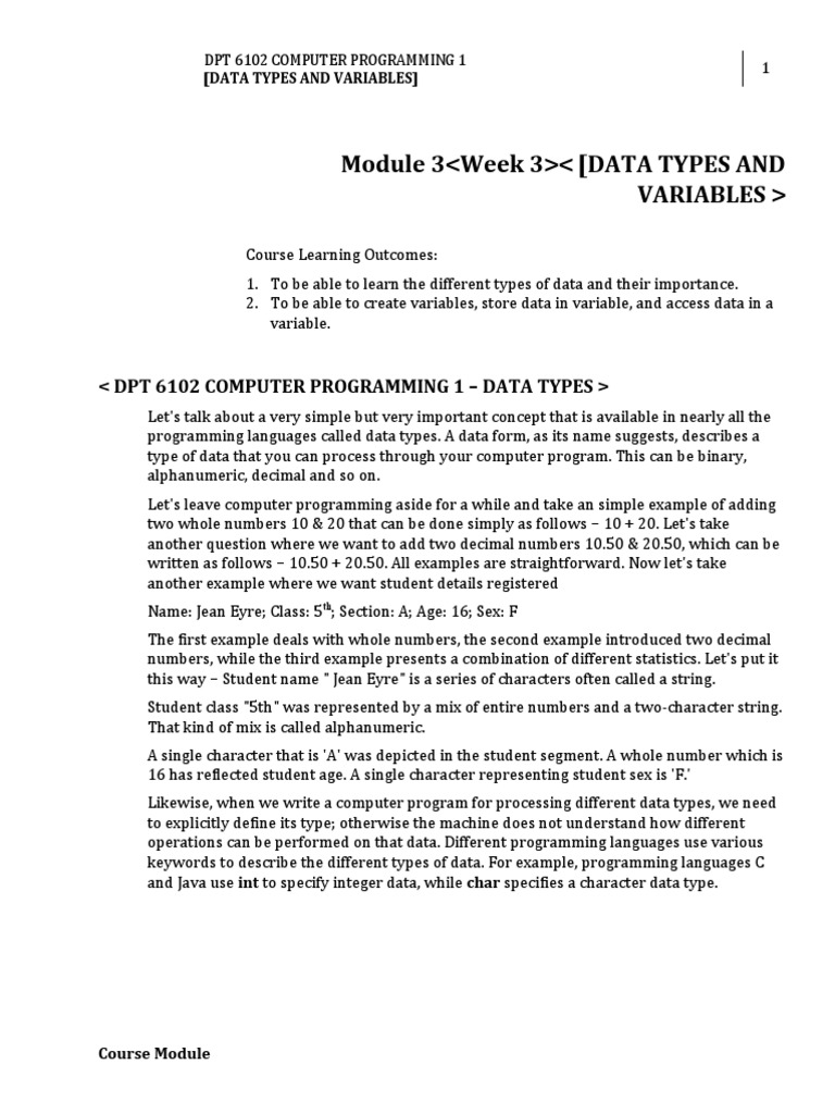 An Introduction To Data Types And Variables In Computer Programming Pdf Integer Computer