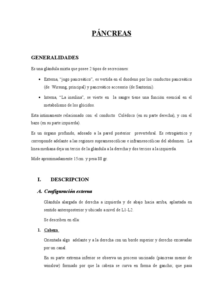 Anatomía y Función del Páncreas | PDF | Páncreas | Abdomen