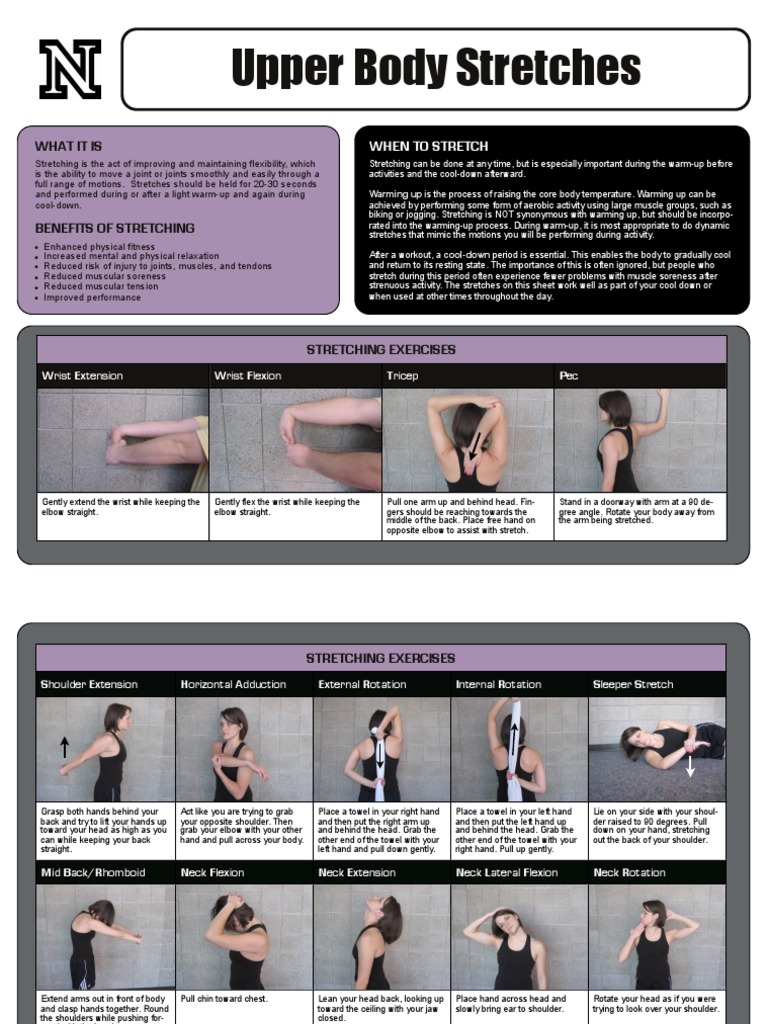 Stretching Upper PDF | PDF | Anatomical Terms Of Motion | Elbow