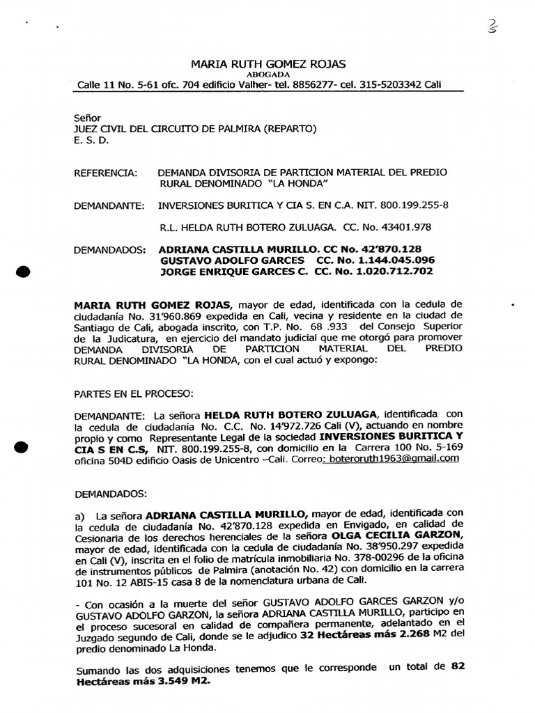 Proceso Divisorio (Caso de Ejemplo) | PDF