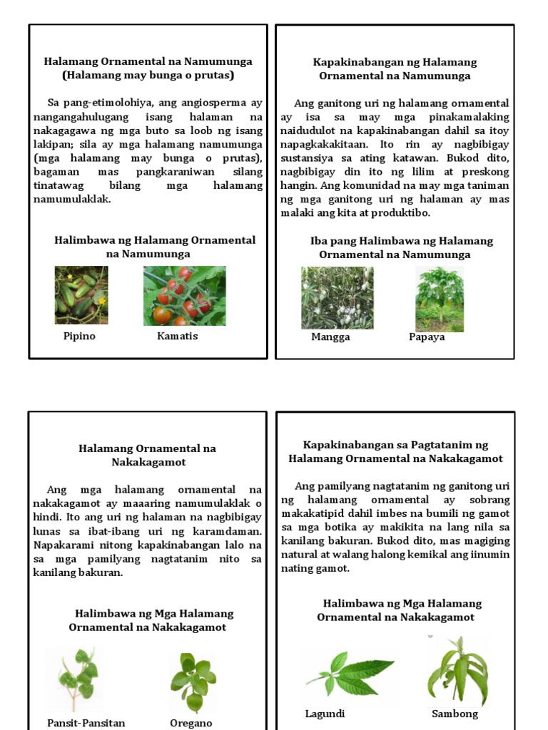 Halamang Ornamental | PDF