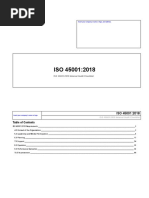 ISO 45001 2018 Process Map Sample | PDF | Audit | Auditor's Report
