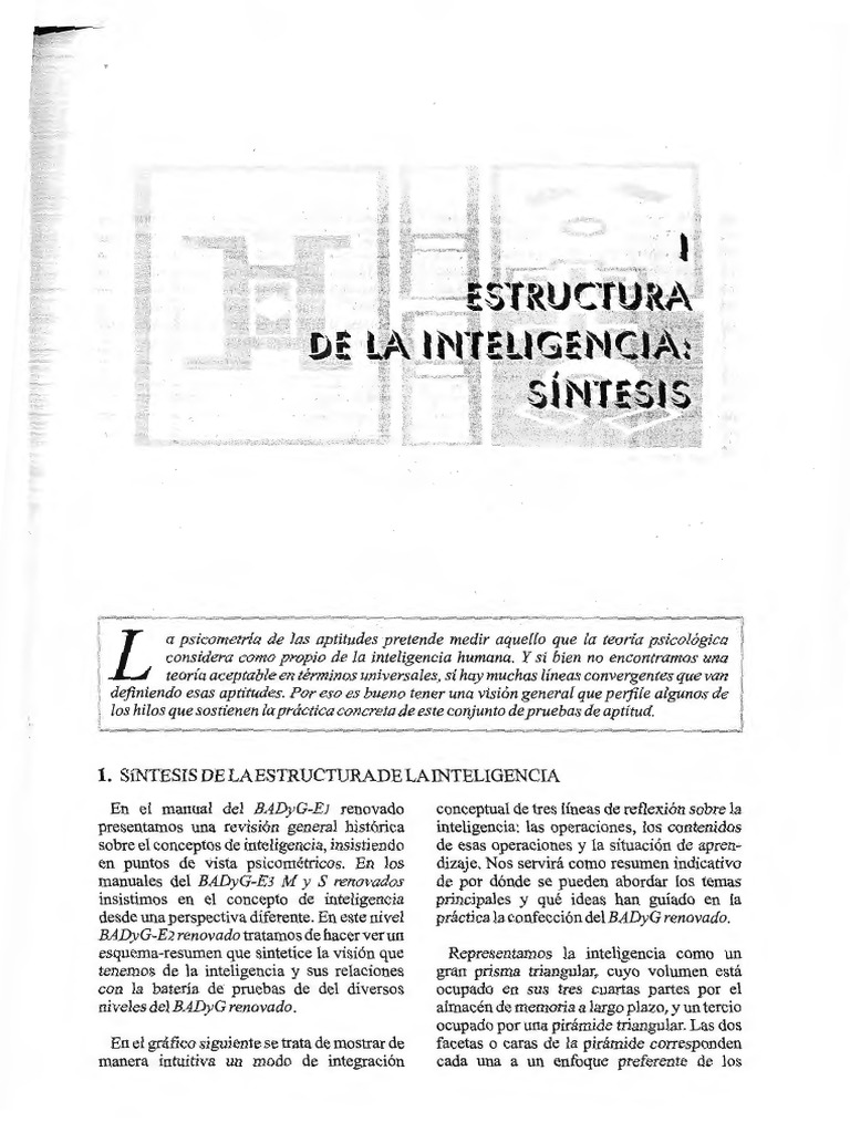 BADyG-E2 Manual12 | PDF | Memoria | Inteligencia