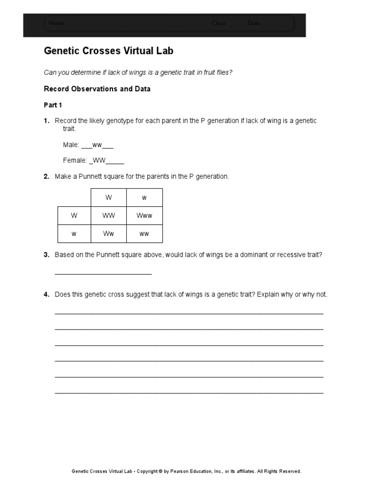 Genetic Crosses Virtual Lab: Record Observations and Data | Download ...