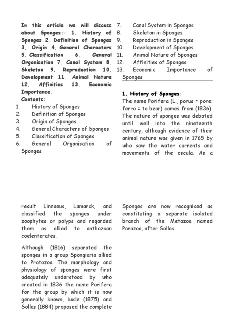 History of Sponges | PDF | Sponge | Biology