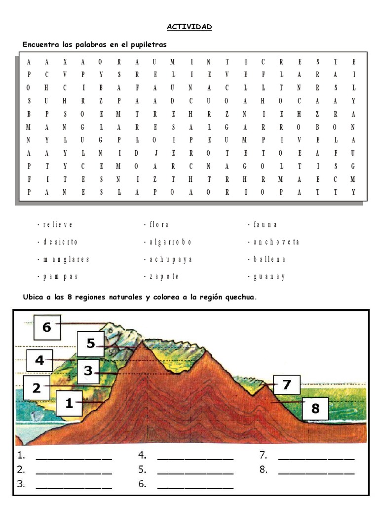 Ficha - Las 8 Regiones Naturales Del Perú | PDF