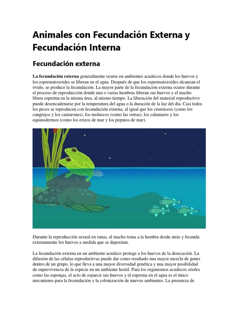 Fecundación en Animales: Interna y Externa | PDF | Sexo | Huevo