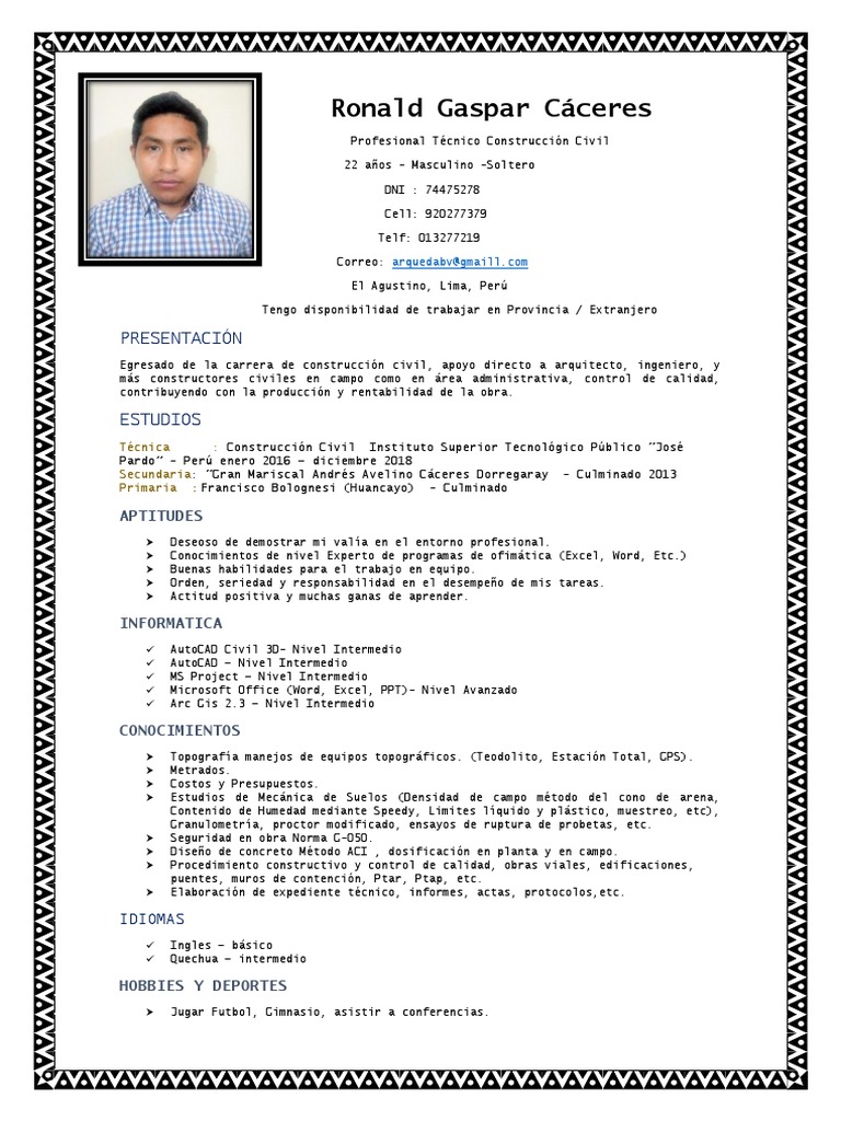 Perfil Profesional de Ronald Gaspar | PDF