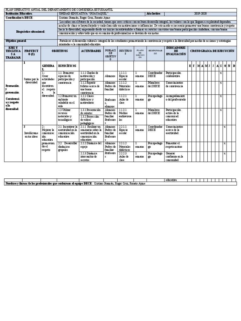 Plan Operativo Anual Dece (Poa) | PDF | Educación primaria | Planificación