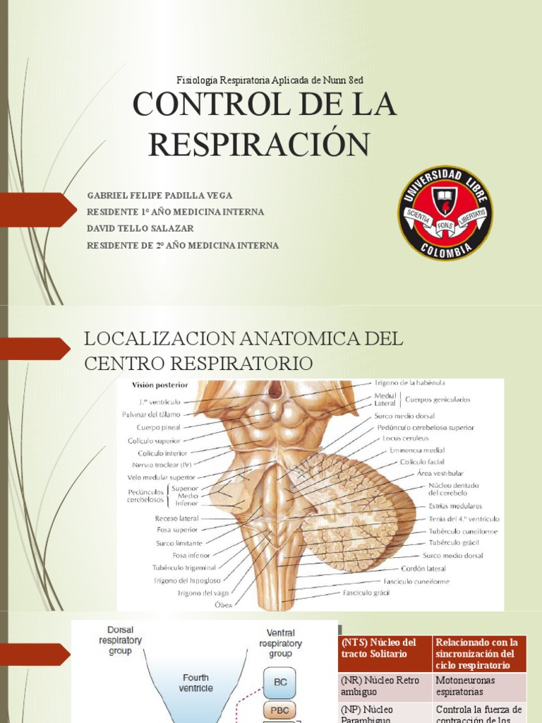 Control de La Respiracion | PDF | Tos | Sistema respiratorio