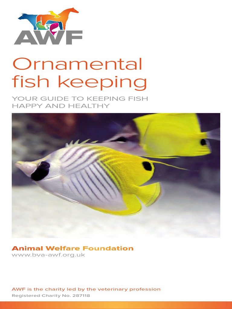 Ornamental Fish Keeping: Your Guide To Keeping Fish Happy and Healthy ...