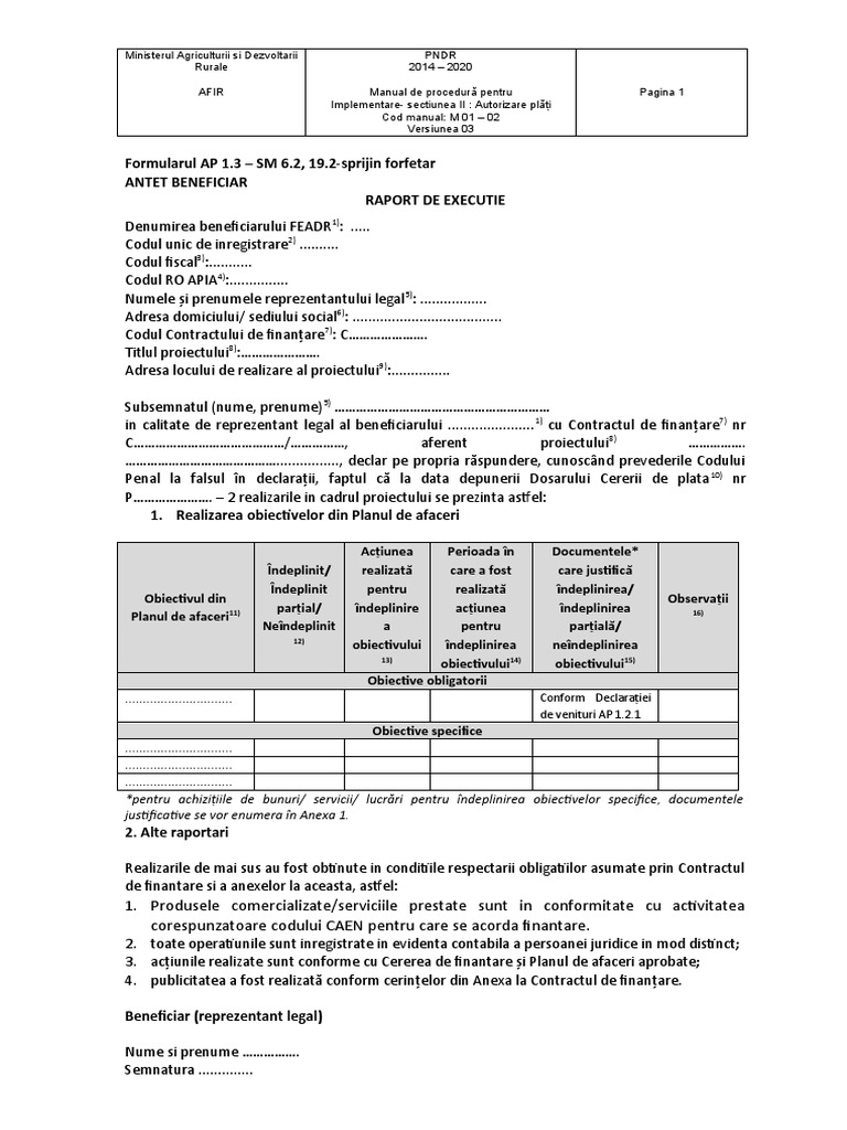 AP 1.3 Raport de Executie | PDF