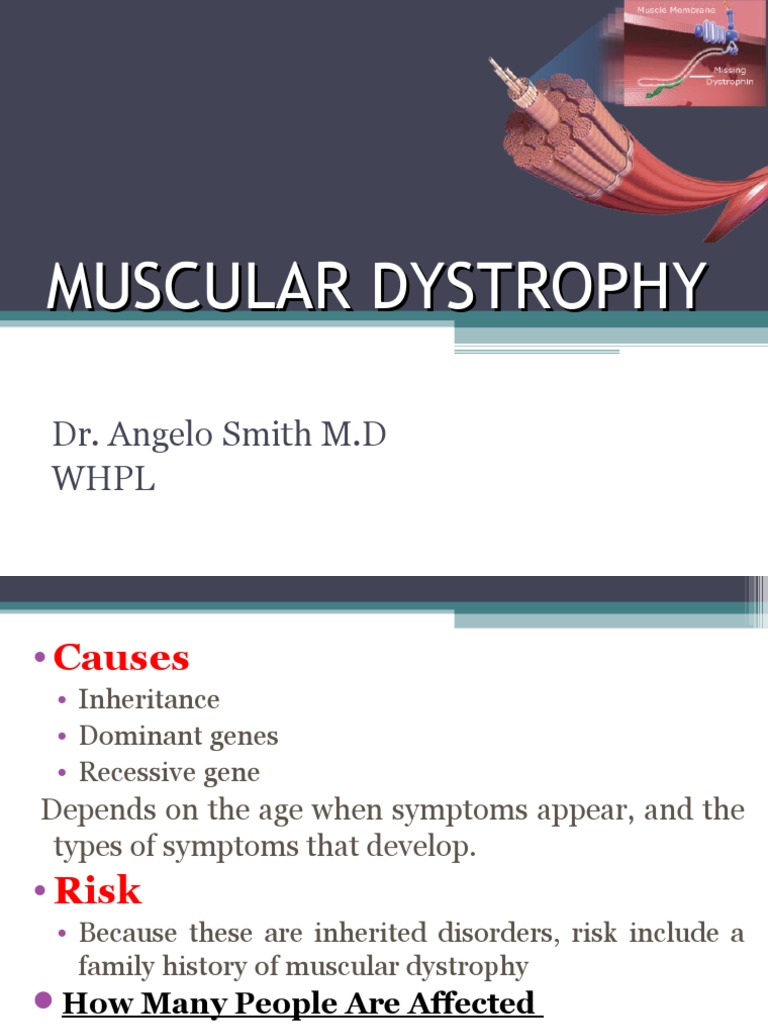 Muscular Dystrophy1 | PDF | Muscular Dystrophy | Musculoskeletal Disorders
