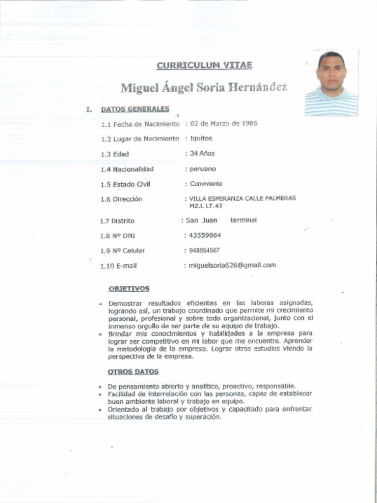 CV Miguel Angel PDF | PDF